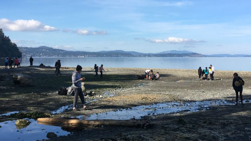 Gordon Head Middle School